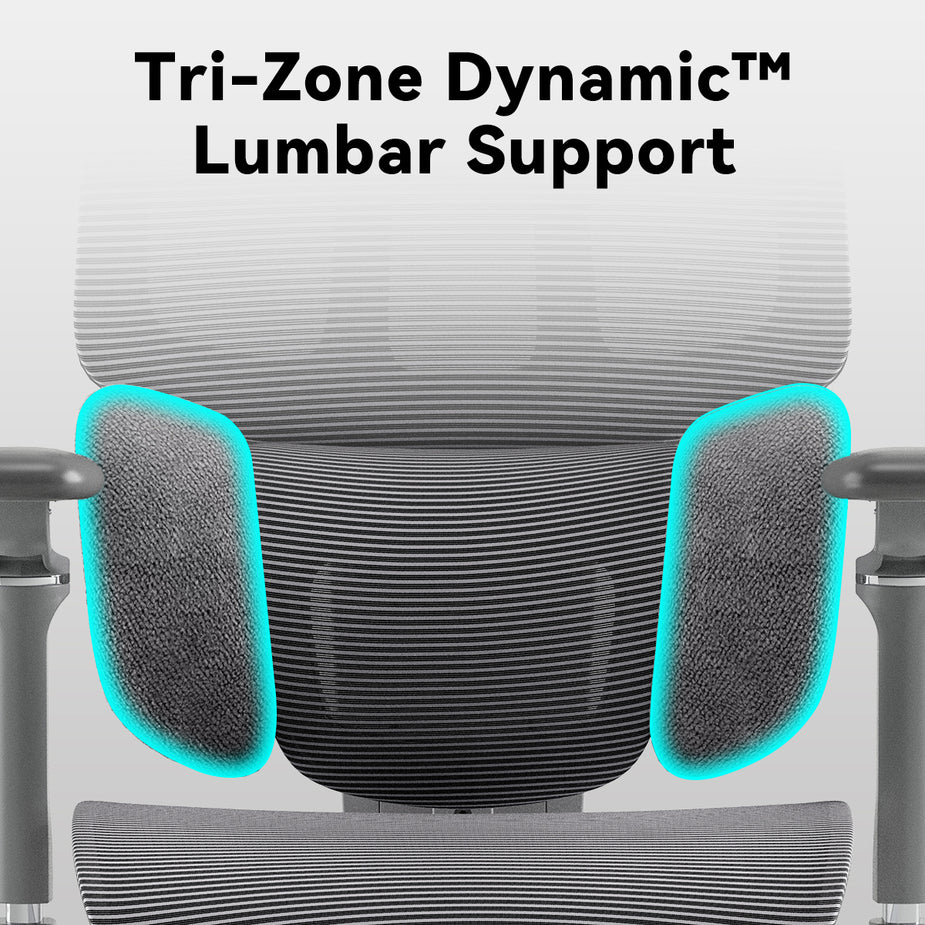 MUSSO H80 Pro Ergonomic Office Chair|Computer Chair