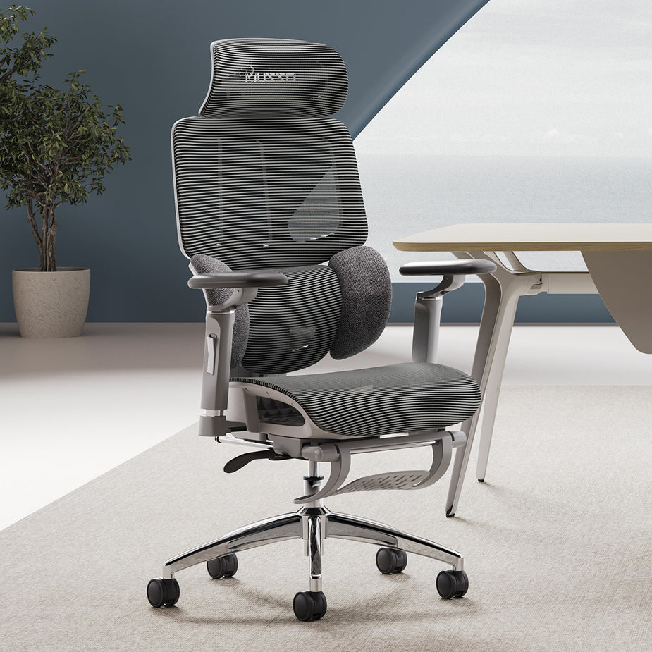 MUSSO H80 Pro Ergonomic Office Chair|Computer Chair